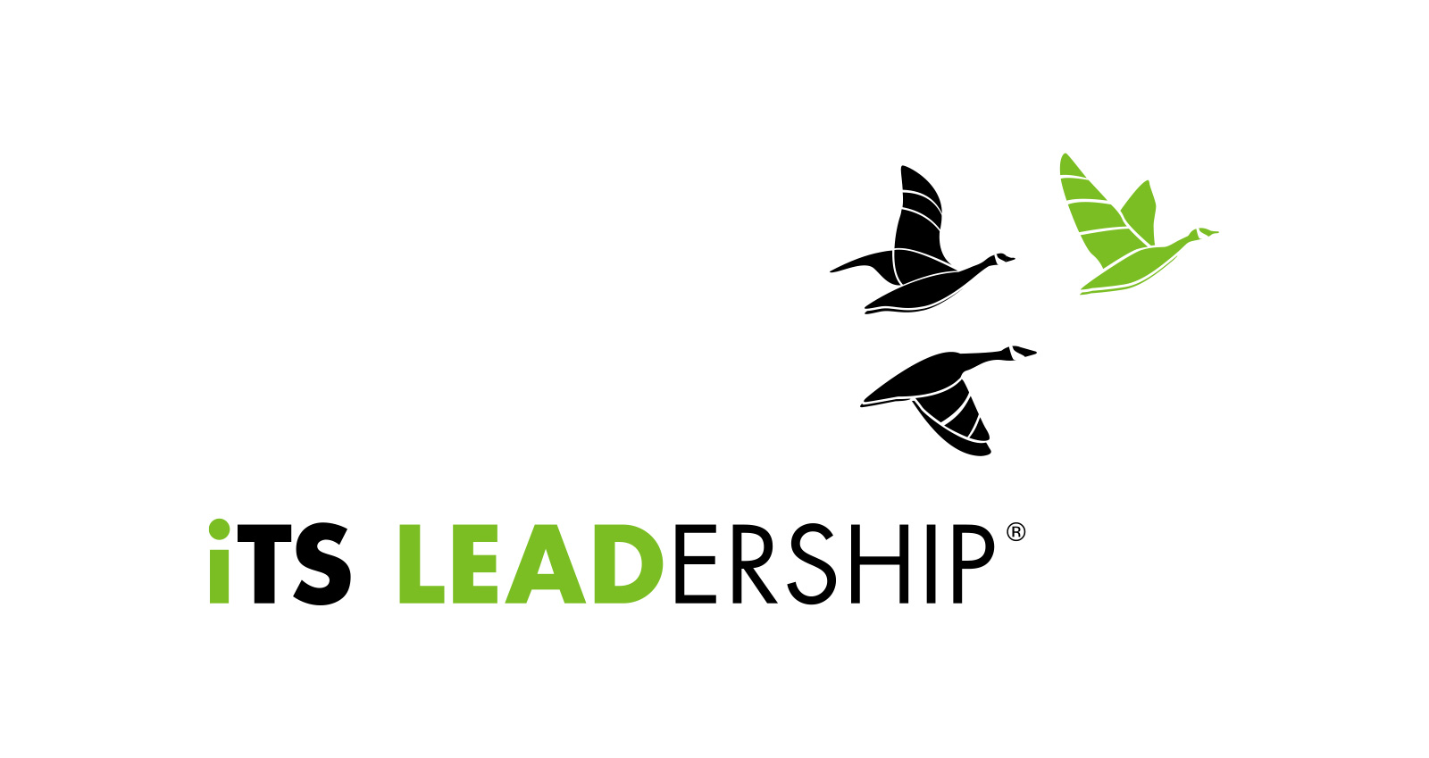 iTS Leadership | Matt Fillery : Freelance Senior Graphic Designer